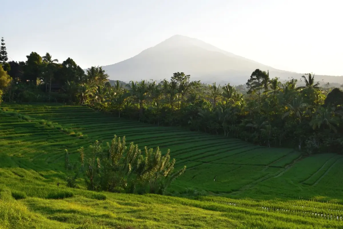 Bali Backpacking – Dein ultimativer Reiseguide - Reiseblog Boarding Away